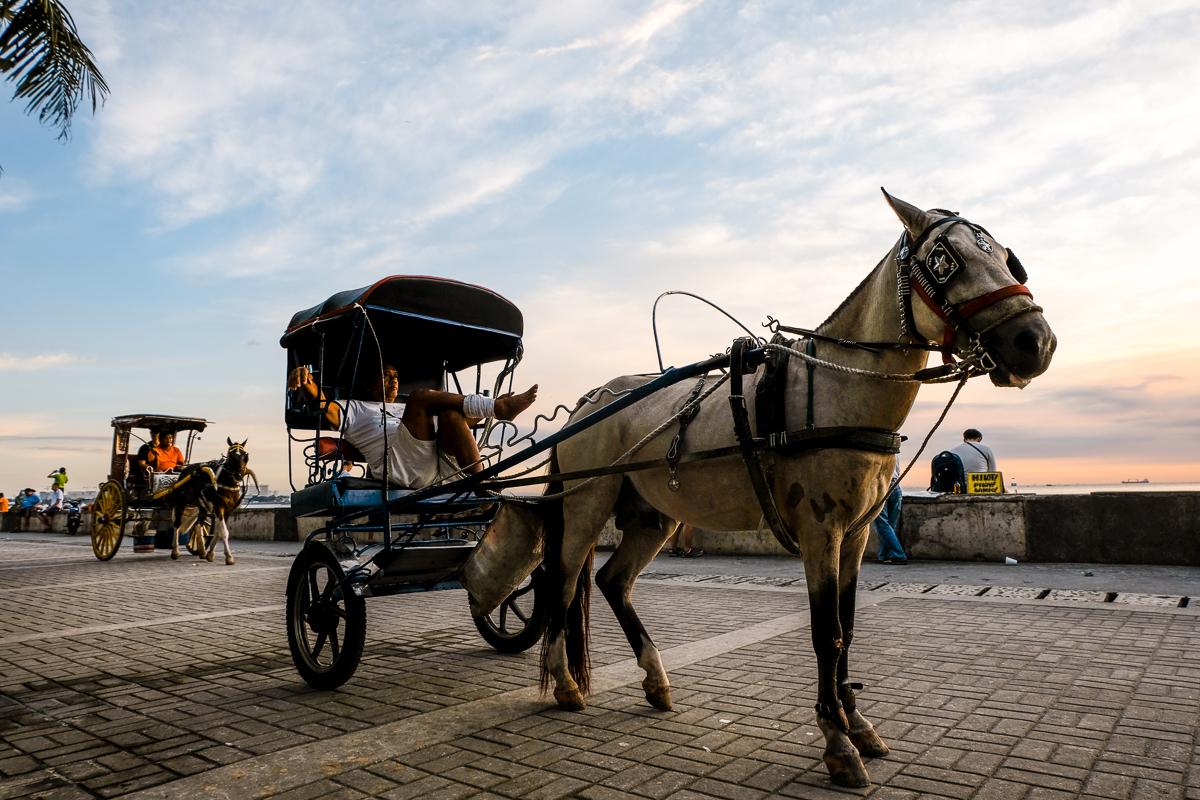 Getting around on a Kalesa is the best way to see the neigh-bourhood ...