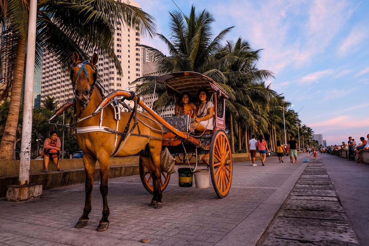 Getting around on a Kalesa is the best way to see the neigh-bourhood ...