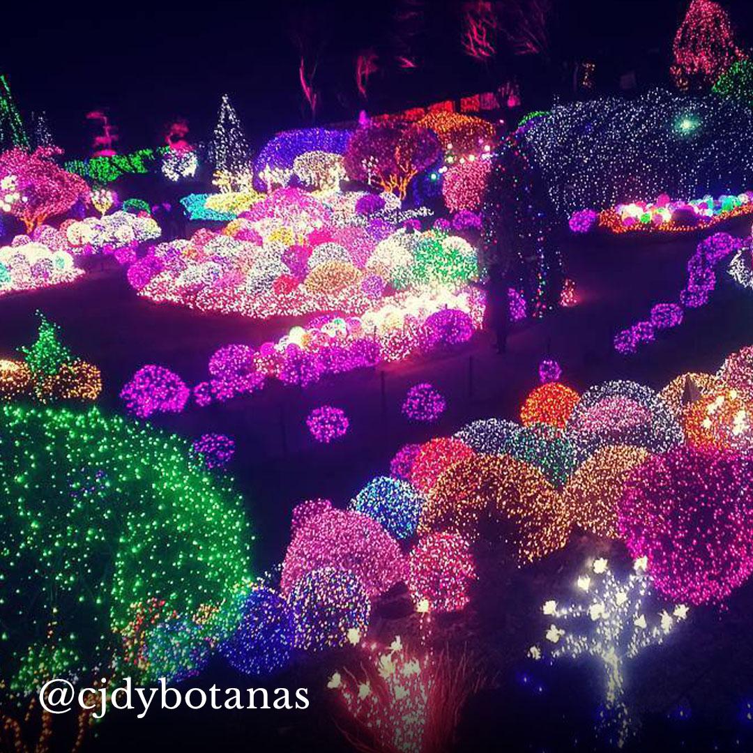 Muju Firefly Festival - Right Now | The Travel Insider